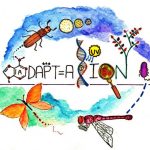 AdaptationLab – Deepa Agashe's Lab at NCBS, Bangalore