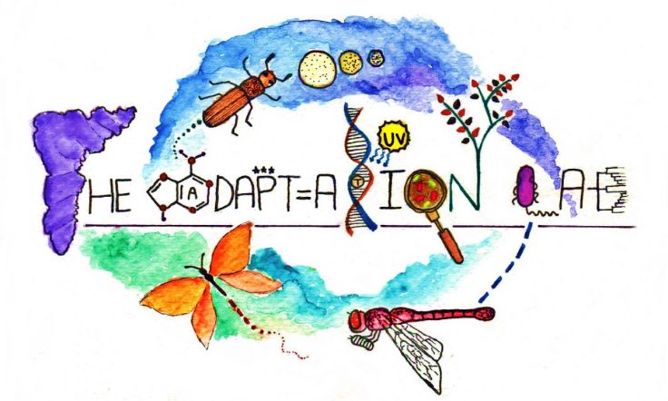 Adaptationlab Deepa Agashe S Lab At Ncbs Bangalore